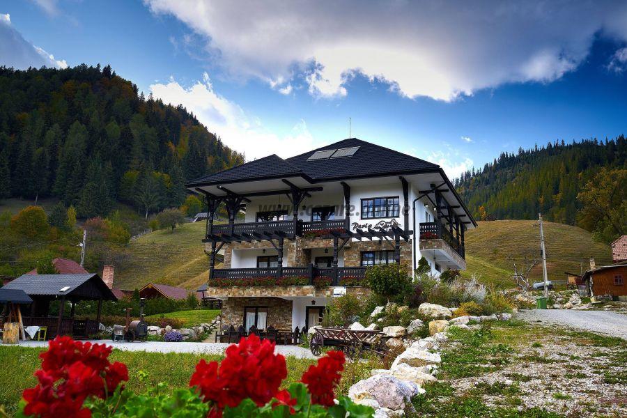 Pensiunea Perla Raraului - Hotel, Motel, Pensiune, Vila