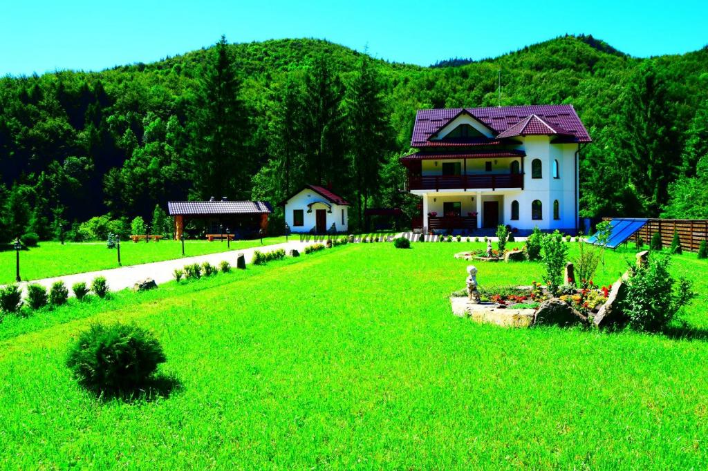 Pensiunea Floare de Malin - Hotel, Motel, Pensiune, Vila