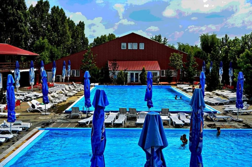 Pensiunea GOLDEN PLUM - Hotel, Motel, Pensiune, Vila